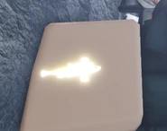 Anchovy | Fisch Wiki | Fandom