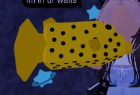 Yellow Boxfish | Fisch Wiki | Fandom
