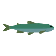 Worm | Fisch Wiki | Fandom