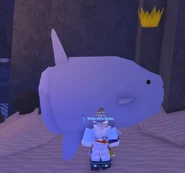 Sunfish | Fisch Wiki | Fandom