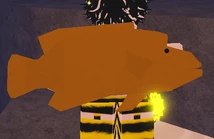 Napoleonfish | Fisch Wiki | Fandom