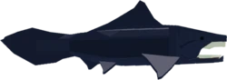 Dunkleosteus | Fisch Wiki | Fandom