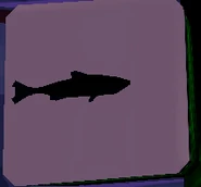 Sardine | Fisch Wiki | Fandom