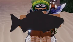 Grey Carp | Fisch Wiki | Fandom