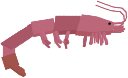 Shrimp (Fish) | Fisch Wiki | Fandom