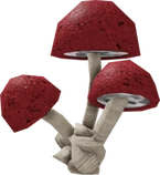 Mushgrove Swamp | Fisch Wiki | Fandom