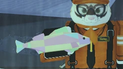 White Perch | Fisch Wiki | Fandom