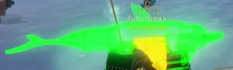 Dolphin | Fisch Wiki | Fandom