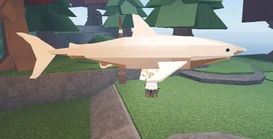 Great White Shark | Fisch Wiki | Fandom