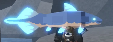 Diplurus | Fisch Wiki | Fandom