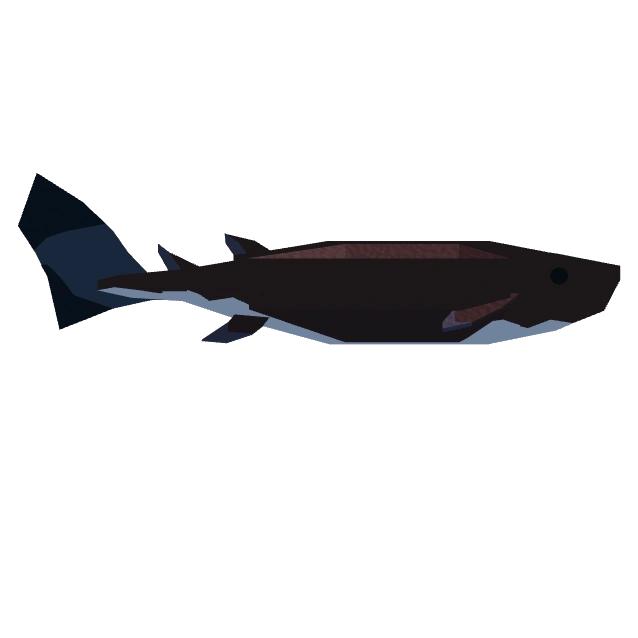 Cookiecutter Shark | Fisch Wiki | Fandom