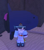 Sunfish | Fisch Wiki | Fandom