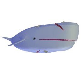 Moby | Fisch Wiki | Fandom