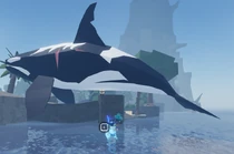 Orca | Fisch Wiki | Fandom
