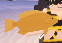 Blackfish | Fisch Wiki | Fandom