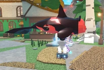 Orcanda | Fisch Wiki | Fandom