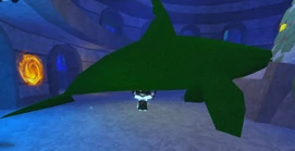 Orca | Fisch Wiki | Fandom