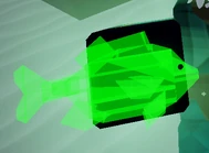 Pumpkinseed | Fisch Wiki | Fandom