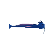 Truffle Worm | Fisch Wiki | Fandom