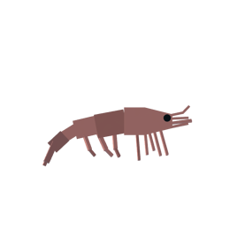 Prawn | Fisch Wiki | Fandom