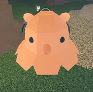 Dumbo Octopus | Fisch Wiki | Fandom