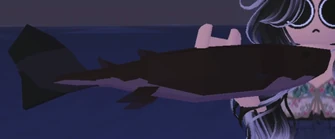 Cookiecutter Shark | Fisch Wiki | Fandom