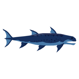 Onychodus | Fisch Wiki | Fandom