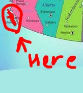 Where Exactly Is Fish empire? | Fish Empire Xyz Wiki | Fandom