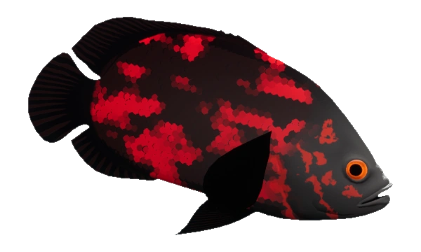 Tiger Oscar | Fish Game Wiki | Fandom