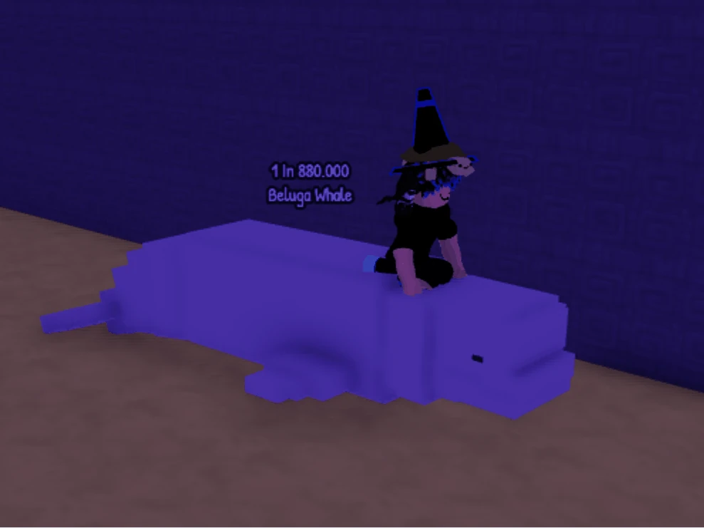 Beluga Whale Mount | Fish's RNG Official Wiki | Fandom