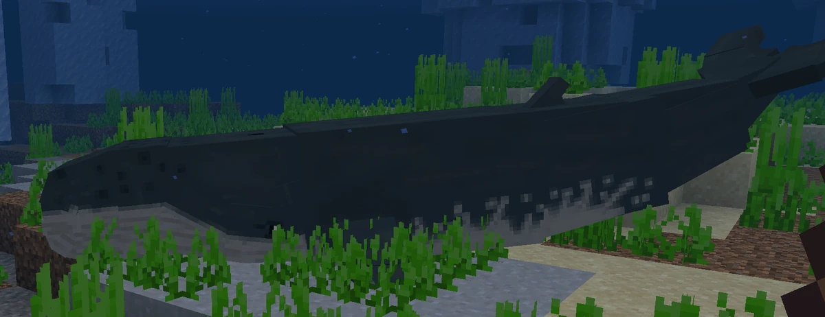 Humpback Whale | Fish Thingy Wiki | Fandom