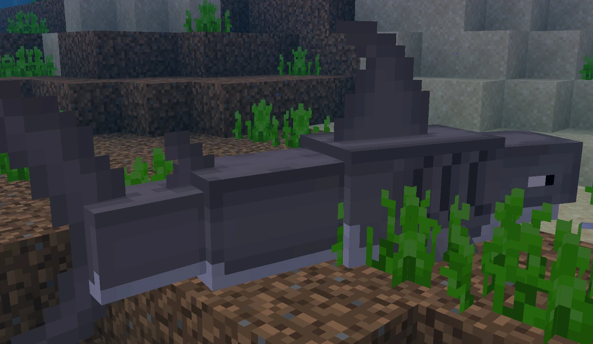 Grey Shark | Fish Thingy Wiki | Fandom