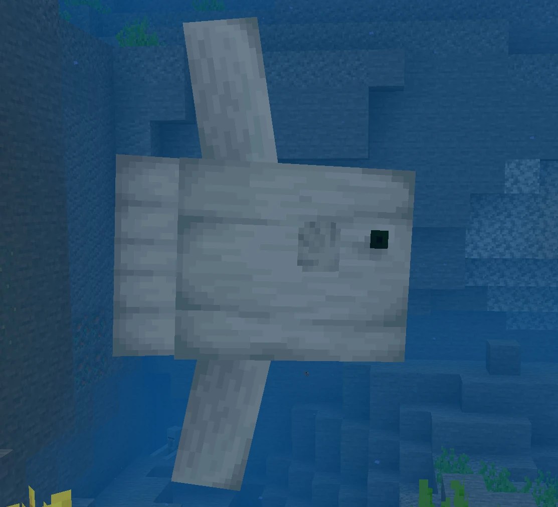Ocean Sunfish | Fish Thingy Wiki | Fandom