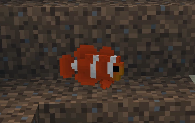 Clownfish | Fish Thingy Wiki | Fandom