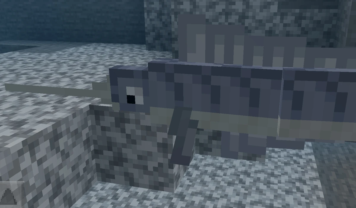 Swordfish | Fish Thingy Wiki | Fandom