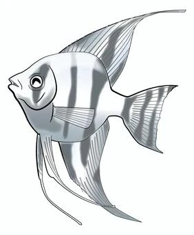 Clownfish | Fishapedia | Fandom