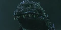 Fish | Fishapedia | Fandom