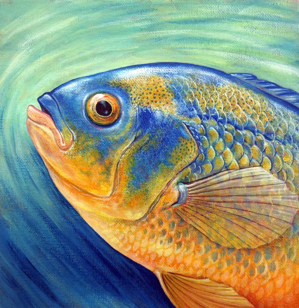 Whale | Fishapedia | Fandom