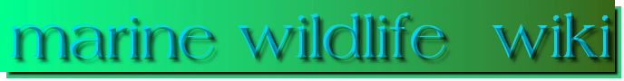 Marine wild life Wiki | Fandom