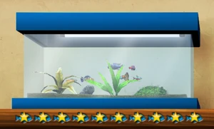 List of Levels | FishCo Wiki | Fandom