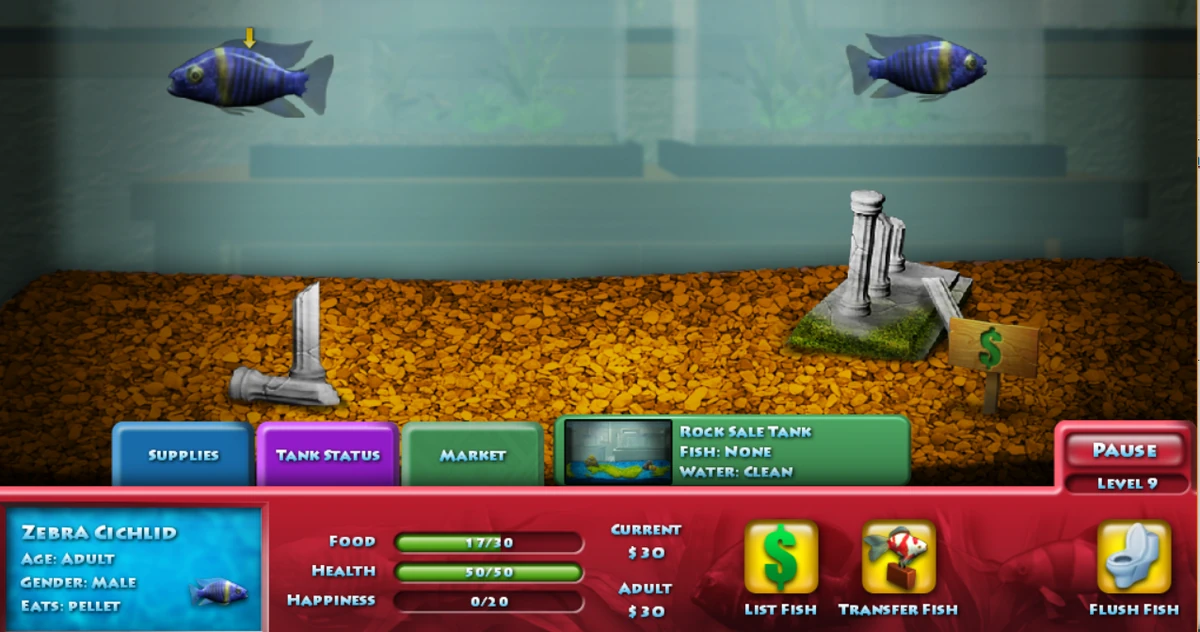 Fish | FishCo Wiki | Fandom