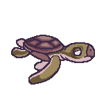 Sea Turtle | Fisher's Quest Wiki | Fandom