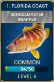 Schoolmaster Snapper | Fishing Clash Wiki | Fandom