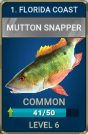 Mutton Snapper | Fishing Clash Wiki | Fandom