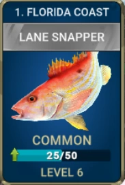 Lane Snapper | Fishing Clash Wiki | Fandom