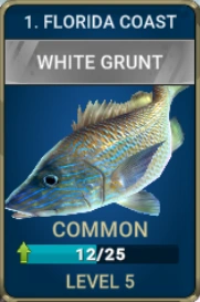 White Grunt | Fishing Clash Wiki | Fandom