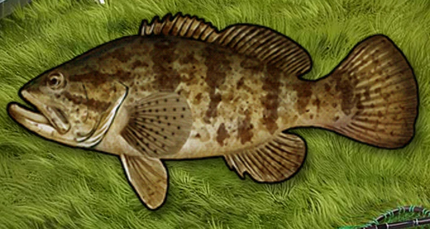 Giant Grouper | Fishing World Wiki | Fandom