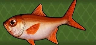 Kinmedai | Fishing World Wiki | Fandom