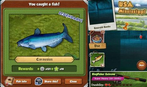 Carausius Fishing World Wiki Fandom