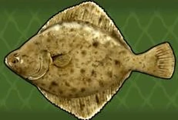 how to make flounder chum